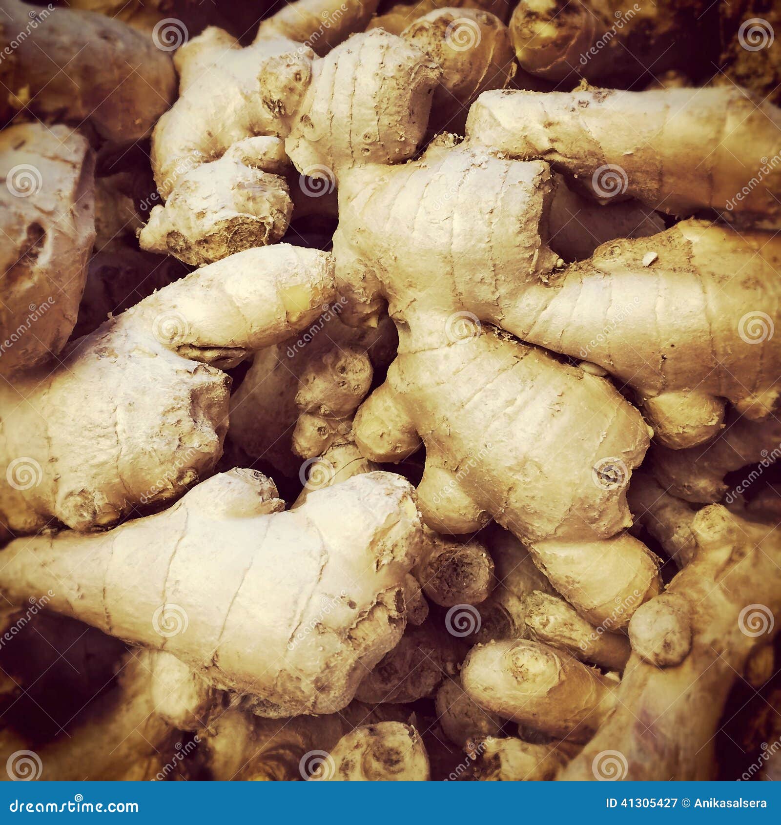 Ginger roots stock image. Image of colour, brown, color - 41305427