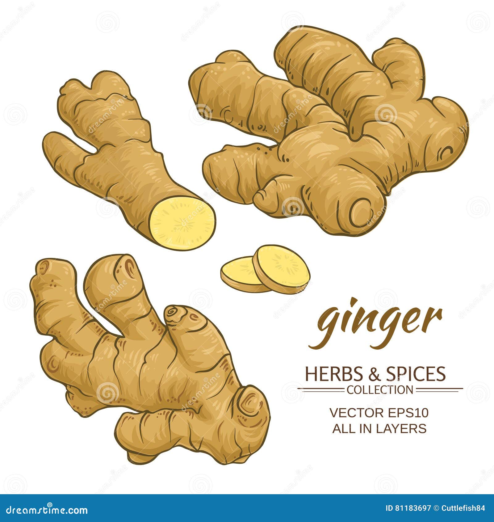 Ginger Cartoons, Illustrations & Vector Stock Images - 155244 Pictures ...
