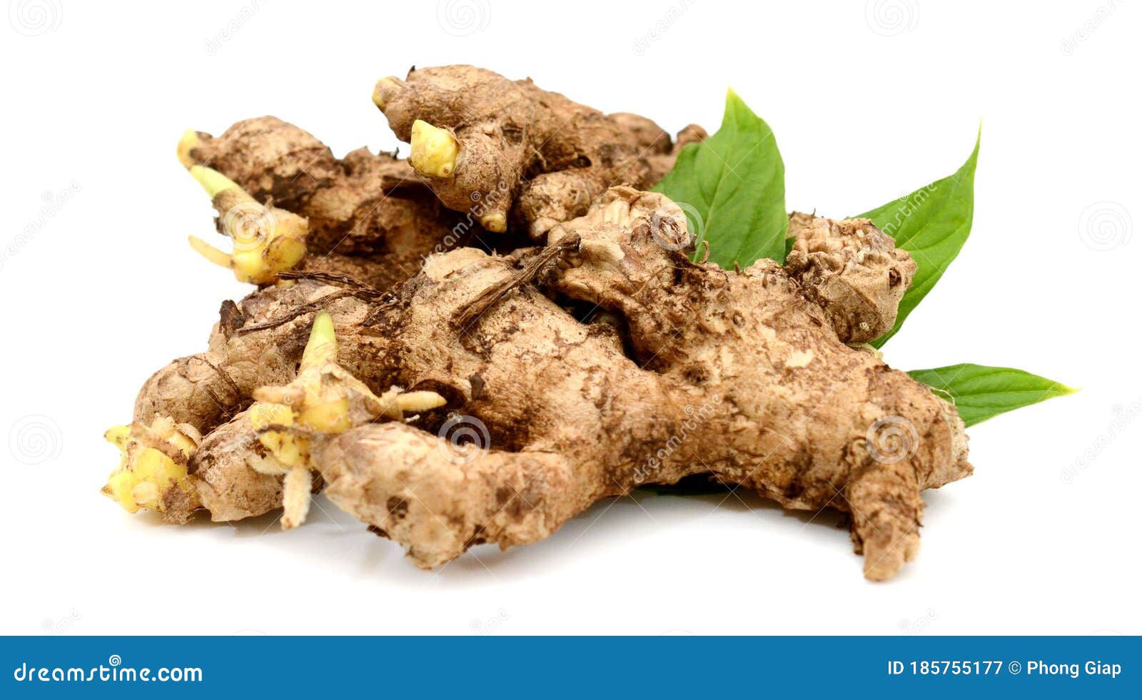 Ginger slices. stock image. Image of slices, snack, gingembre - 185755177