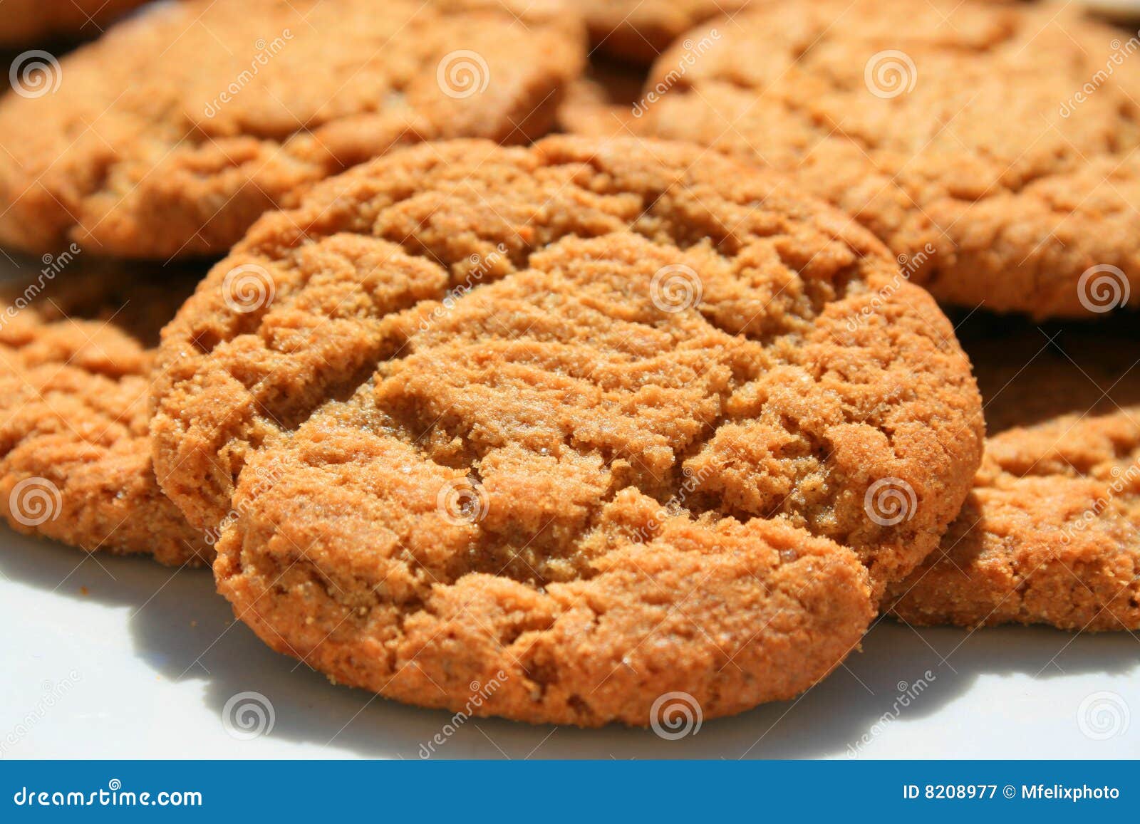 Ginger Snap Cookies stock image. Image of food, dessert - 8208977