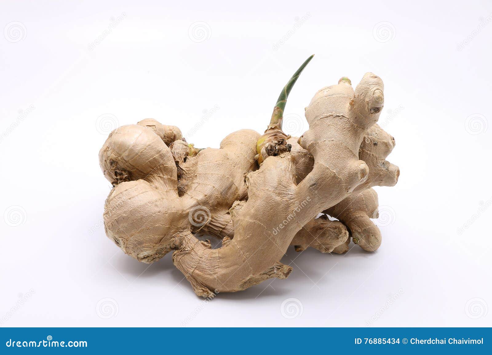 Ginger with Sprouts on White Background Stock Photo - Image of sprouts ...