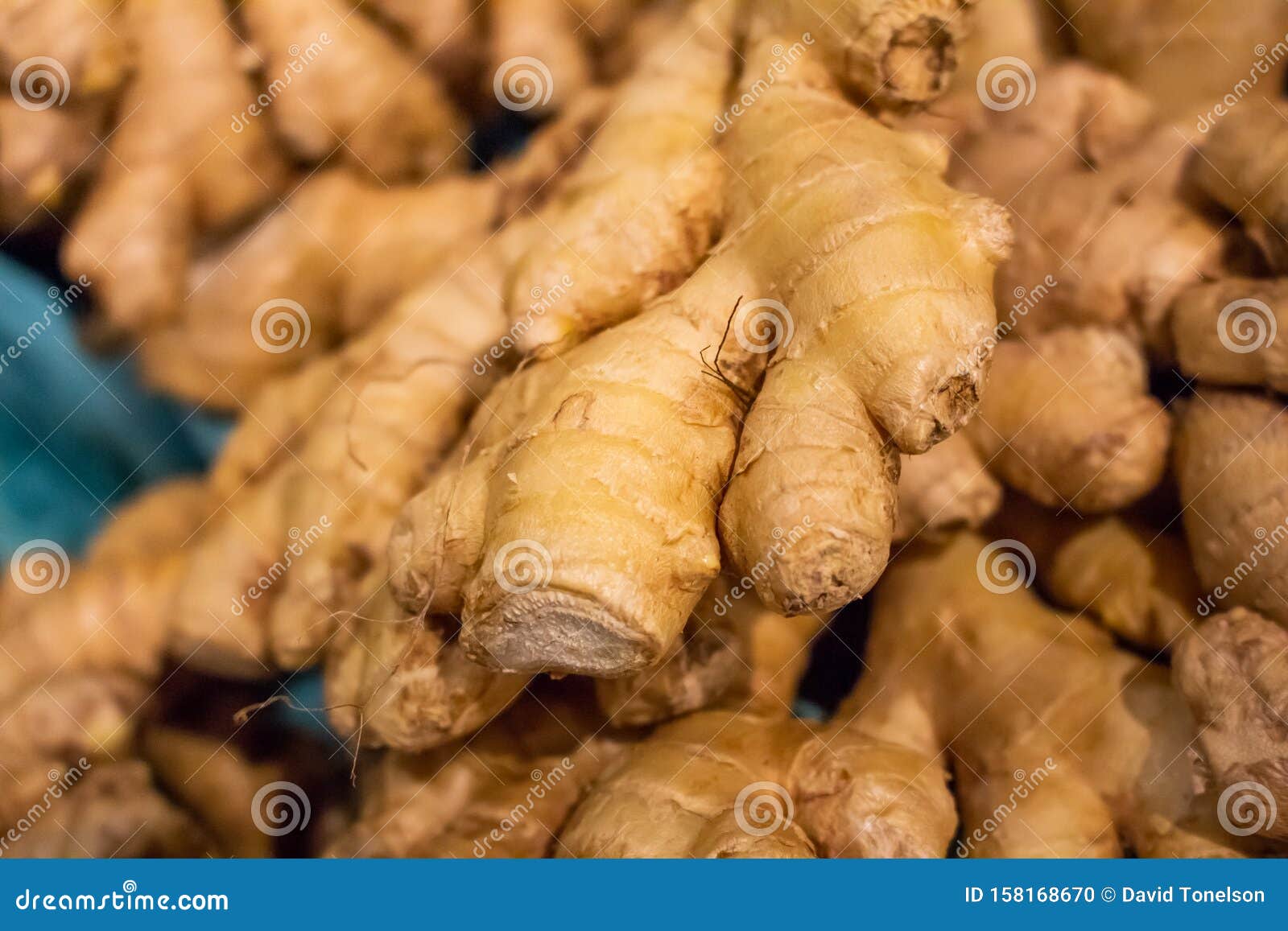 Ginger at the store stock photo. Image of garden, fresh - 158168670