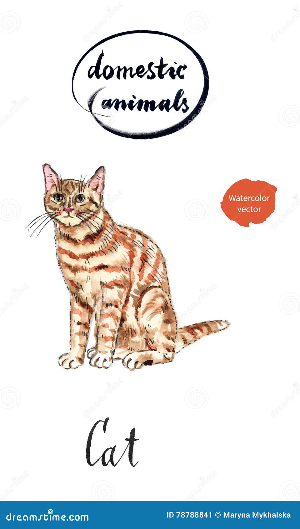 Ginger tabby cat stock vector. Illustration of beauty - 78788841
