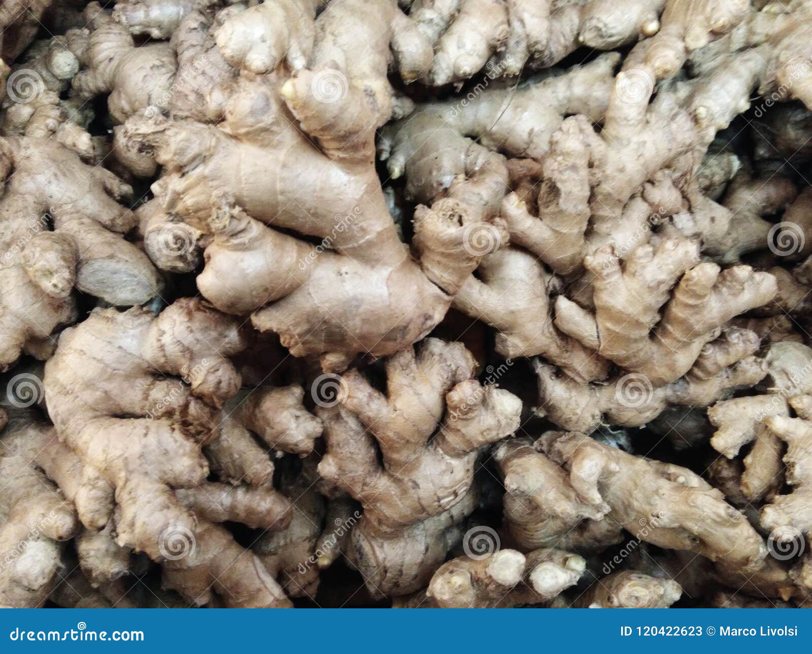 Ginger texture stock illustration. Illustration of curry - 120422623