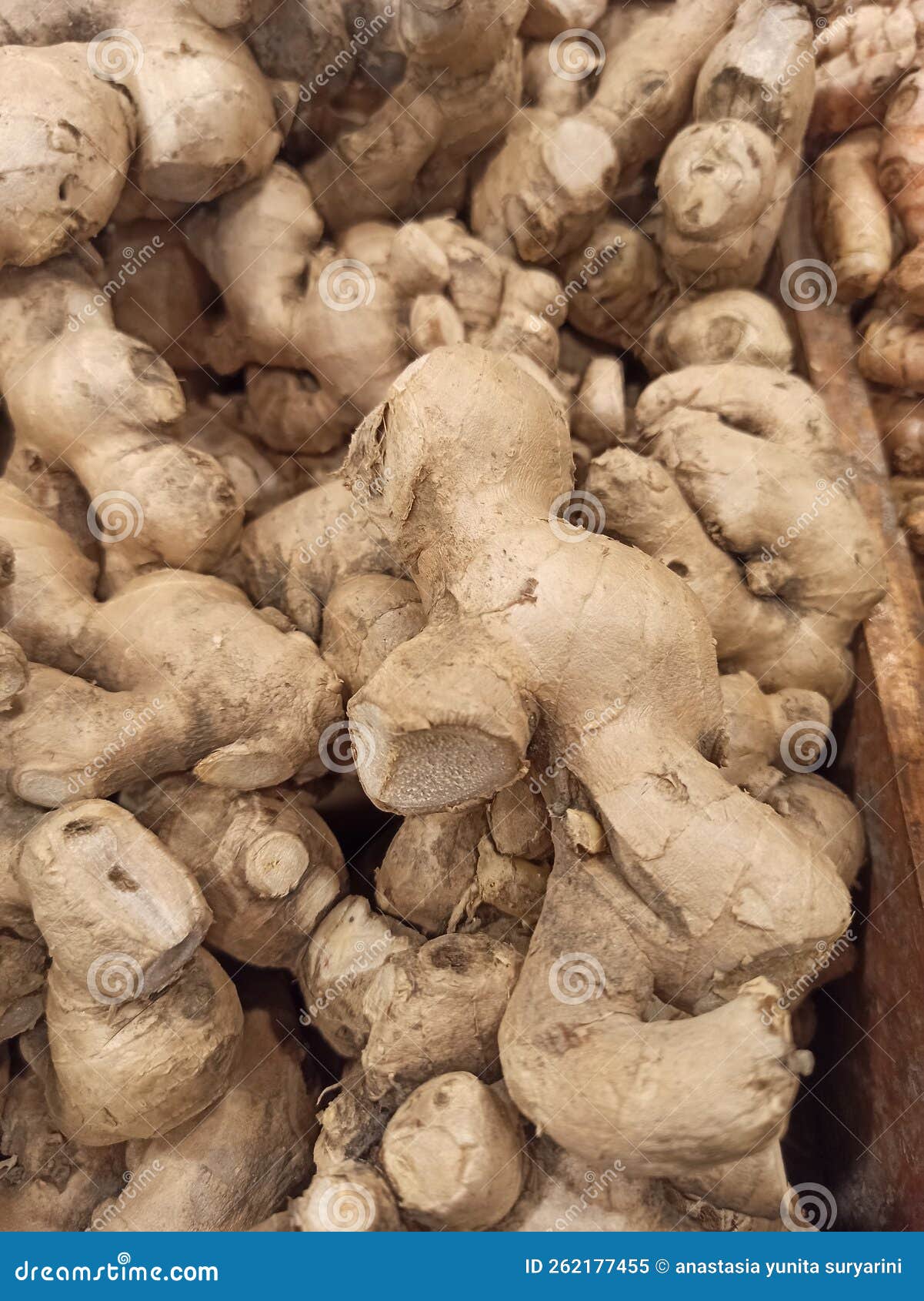 Ginger for Traditional Drink Stock Image - Image of traditional, fungus ...