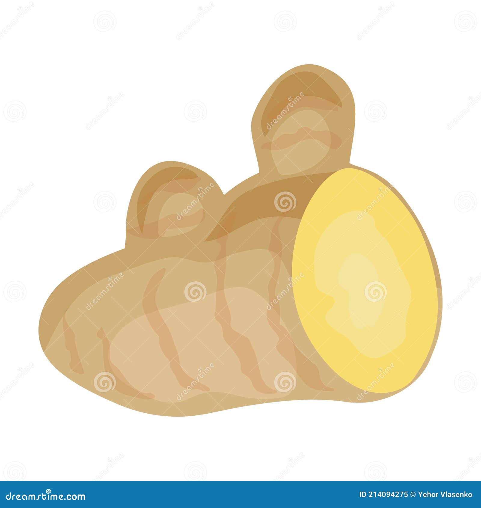 Ginger Vector Icon.Cartoon Vector Icon Isolated On White Background ...