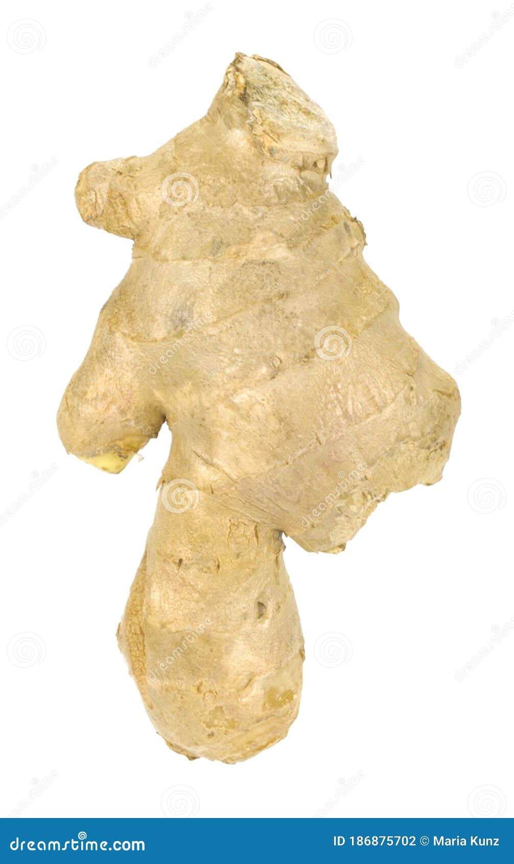 Ginger on a White Background Stock Photo - Image of nature, shape ...