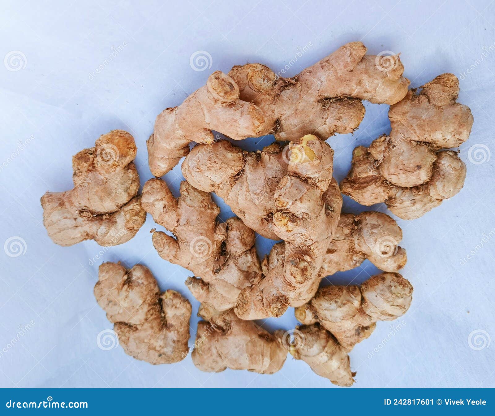 Ginger on White Background Group of Ginger Stock Image - Image of ...