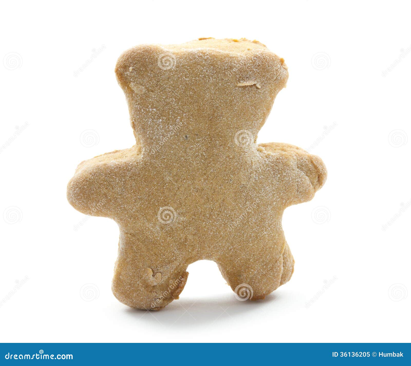Gingerbread bear stock image. Image of design, gingerbread - 36136205