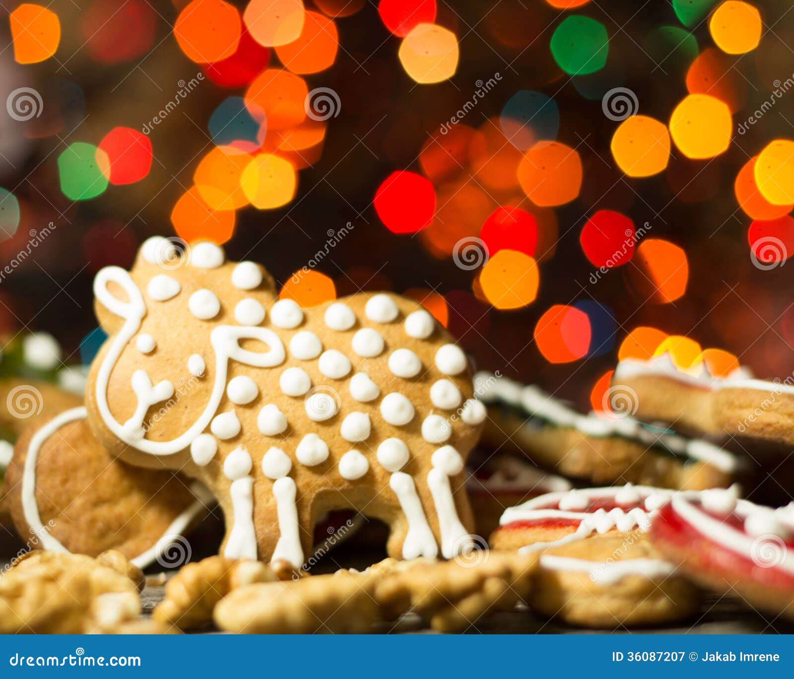 Gingerbread cookies lamb stock image. Image of frame - 36087207