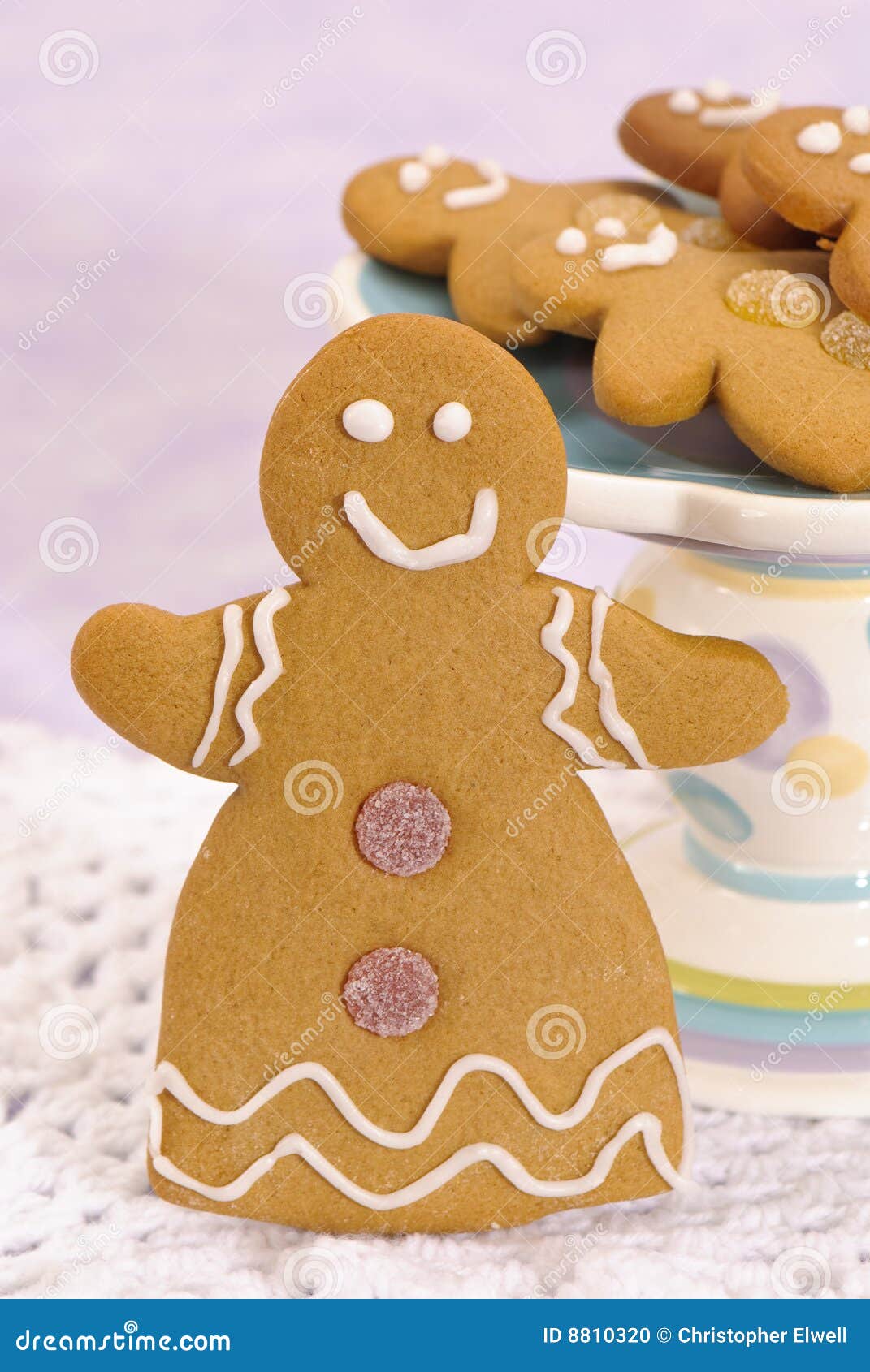 Gingerbread Lady stock photo. Image of childrens, favorite - 8810320