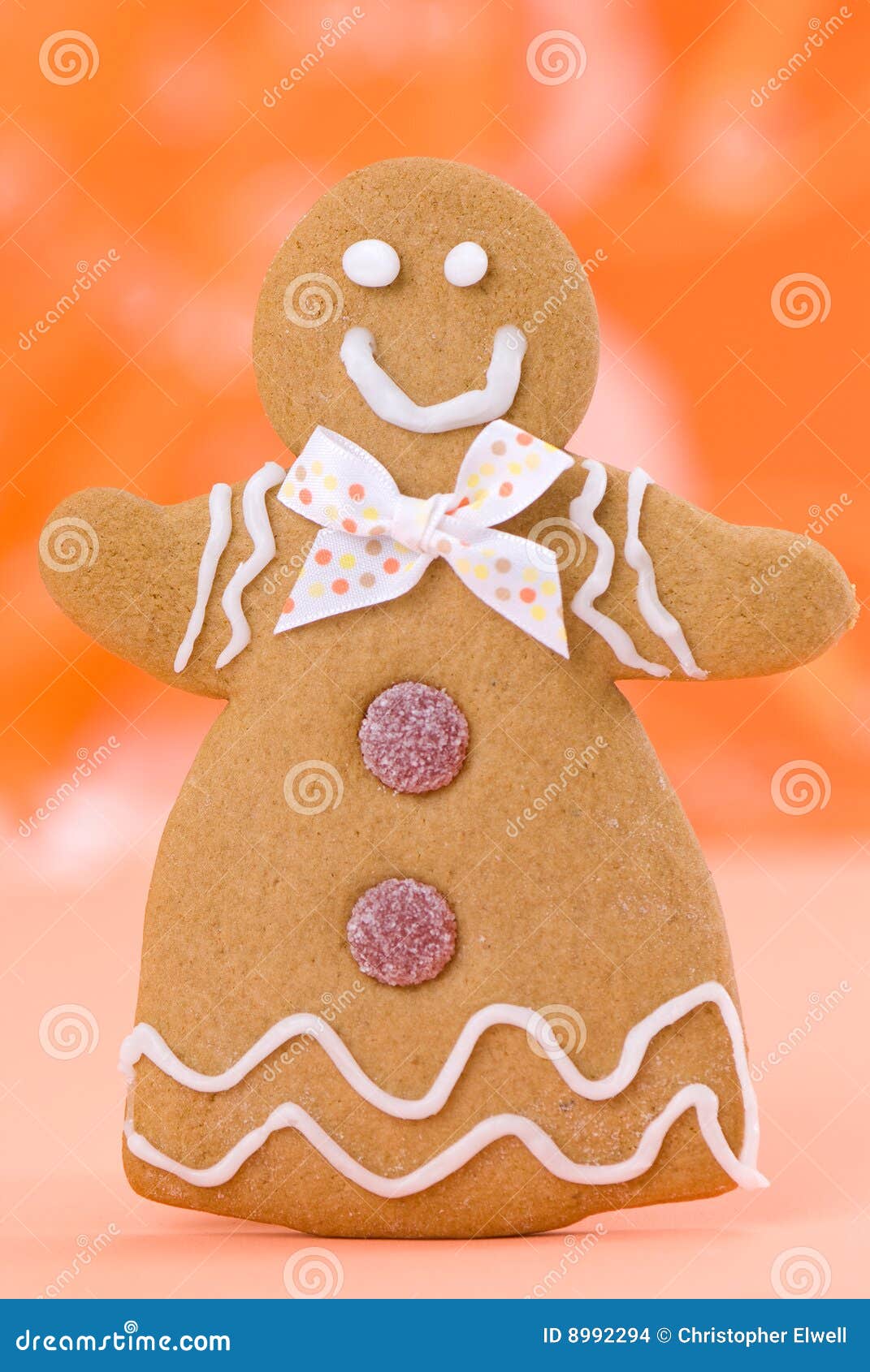 Gingerbread Lady stock photo. Image of orange, biscuit - 8992294