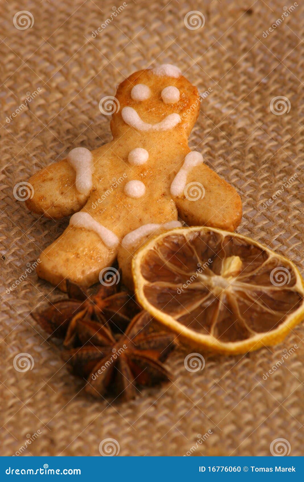Gingerbread man stock photo. Image of bakery, anise, celebration - 16776060