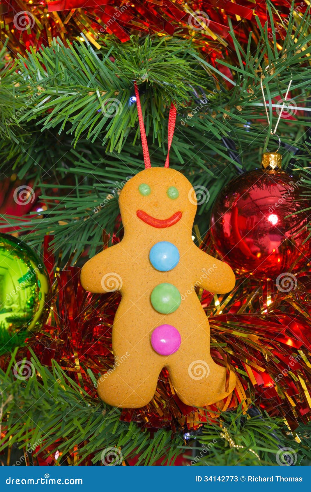 Gingerbread Man on a Christmas Tree Stock Image - Image of tree ...