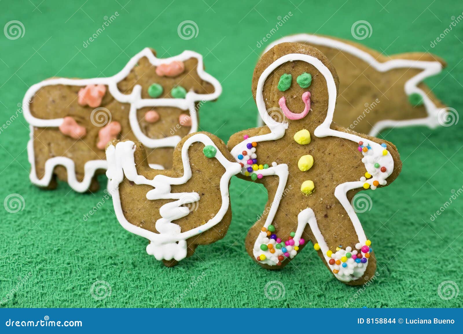 Gingerbread man in a farm stock photo. Image of confetti - 8158844