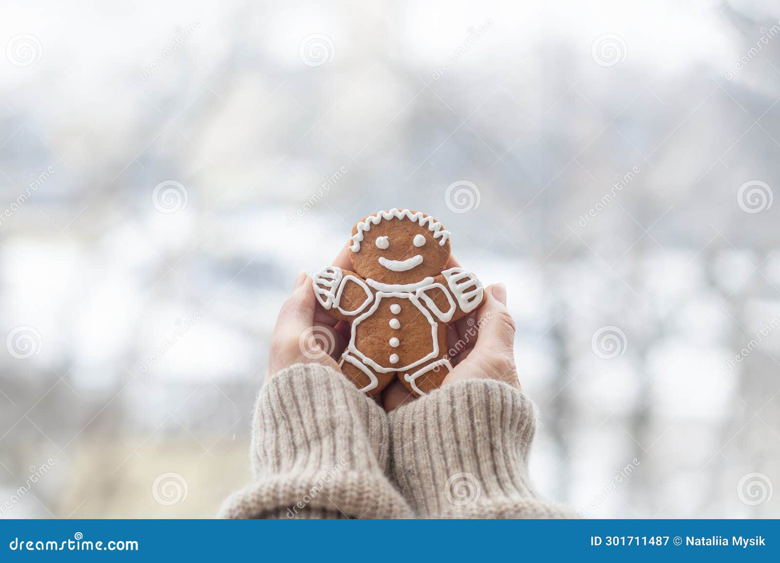 Gingerbread Man in Hands on a Winter Background Stock Image - Image of ...