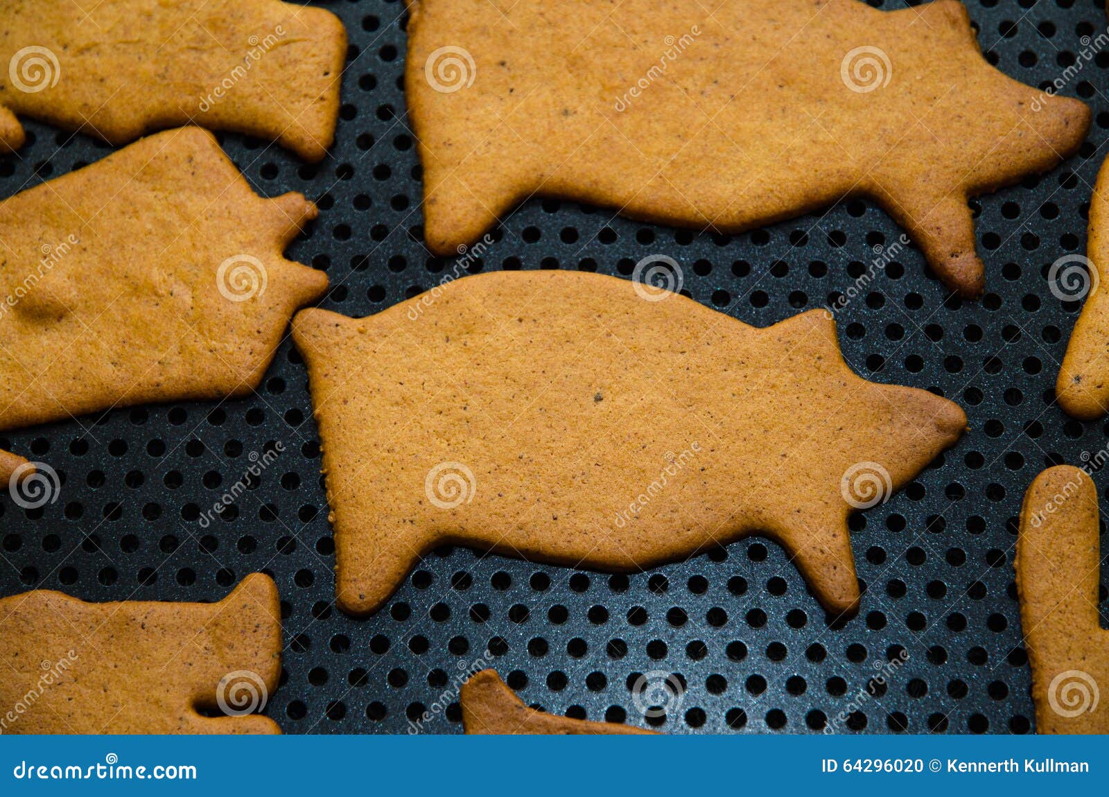 Gingerbread pig figure stock photo. Image of seasonal - 64296020
