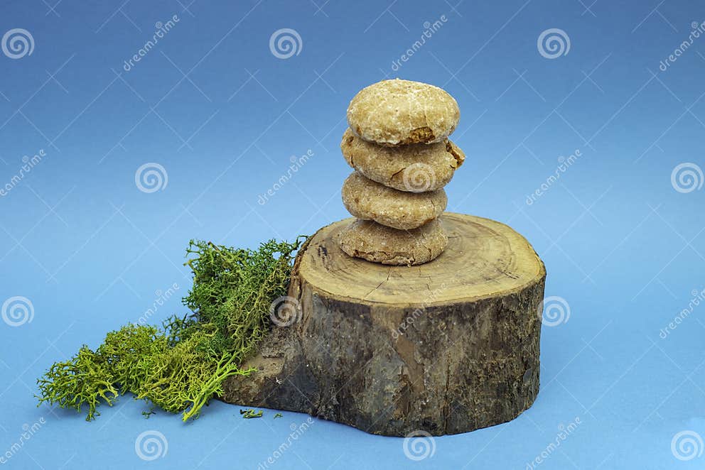 Gingerbread Stack on a Tree Stump Surrounded by Green Moss on Blue ...