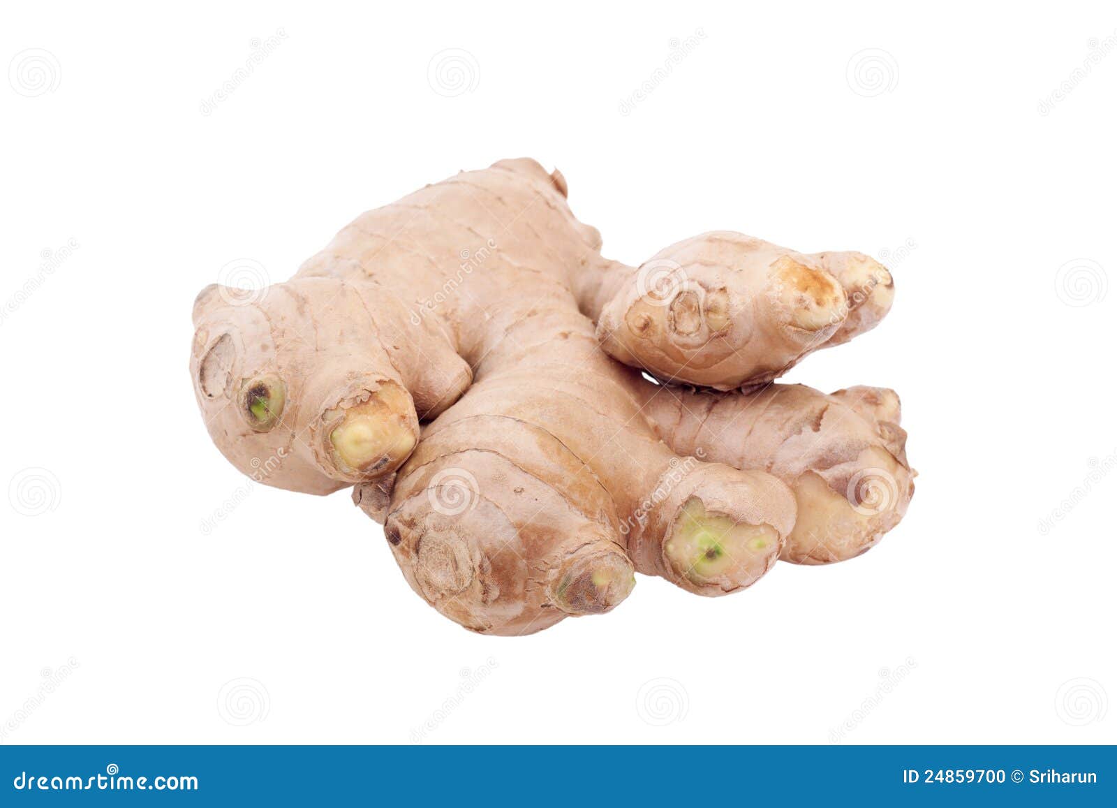 Gingers根 库存照片. 图片 包括有 医学, 新鲜, 聚会所, 干净, 成份, 背包, 本质, 装饰 - 24859700