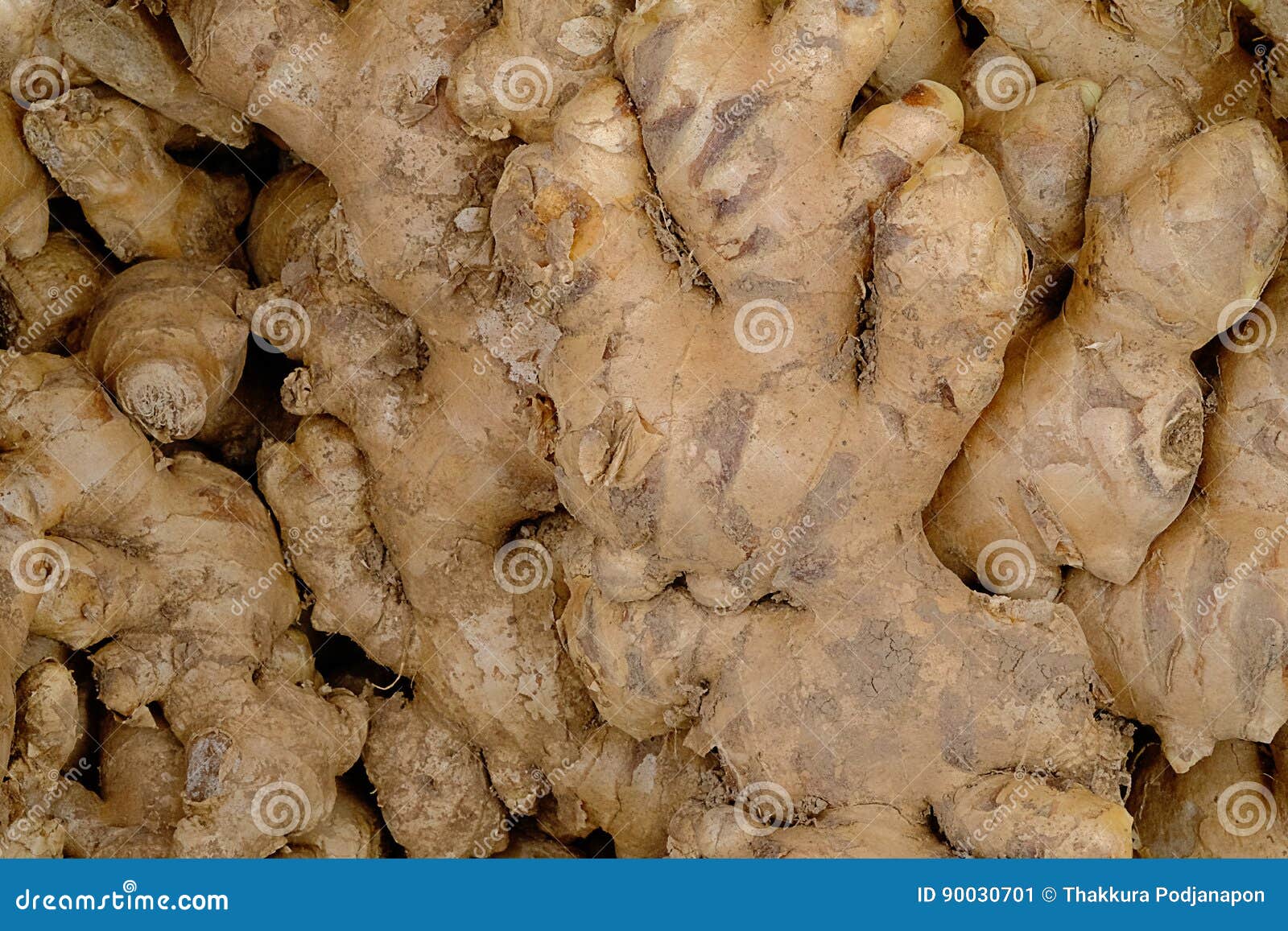 Gingers in basket. stock image. Image of ethnicity, cuisine - 90030701