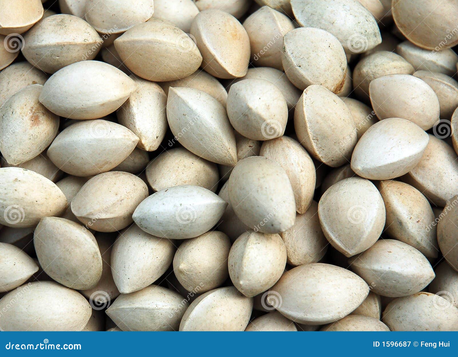 Gingko nut stock image. Image of menu, china, ginkgo, nuts - 1596687