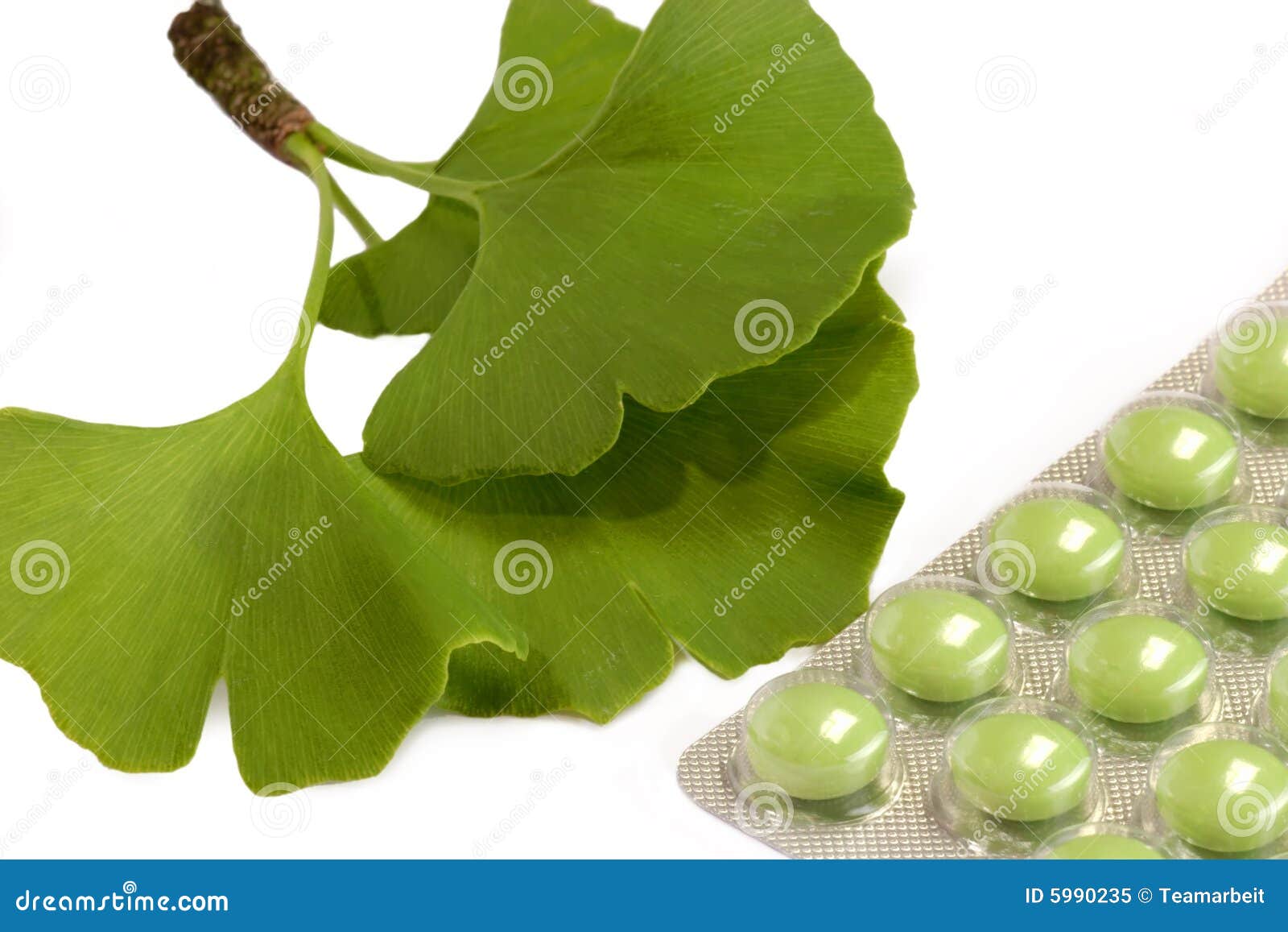 Gingko Pills stock image. Image of green, leaf, medicine - 5990235