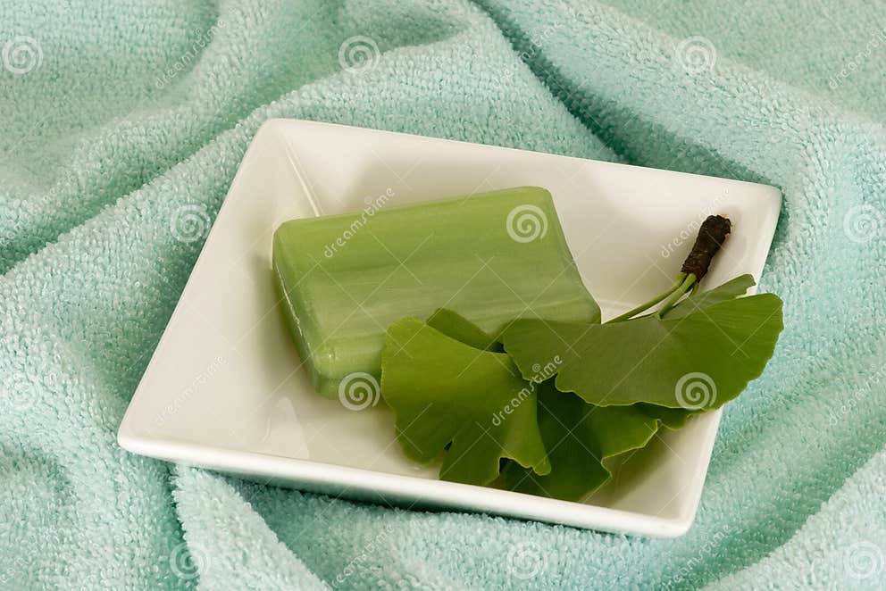 Gingko Soap stock photo. Image of leaf, leaves, plant - 5766368