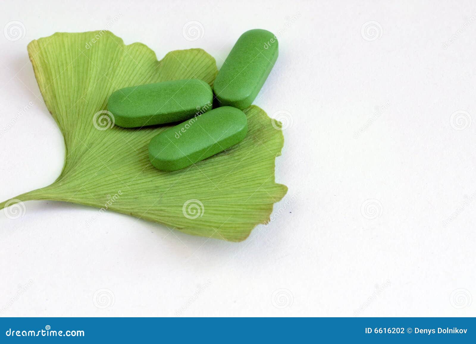Ginkgo Biloba stock photo. Image of ginkgo, capsules, plant - 6616202