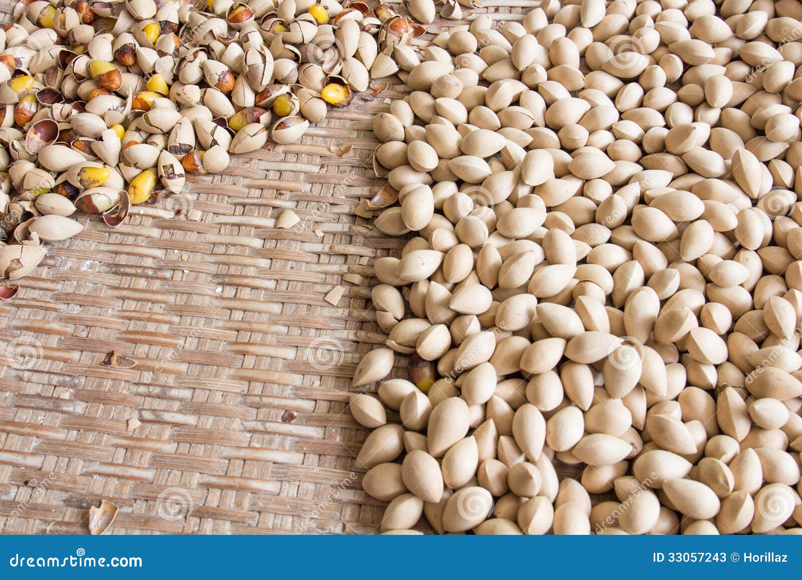 Ginkgo biloba dried seeds stock image. Image of chinese - 33057243