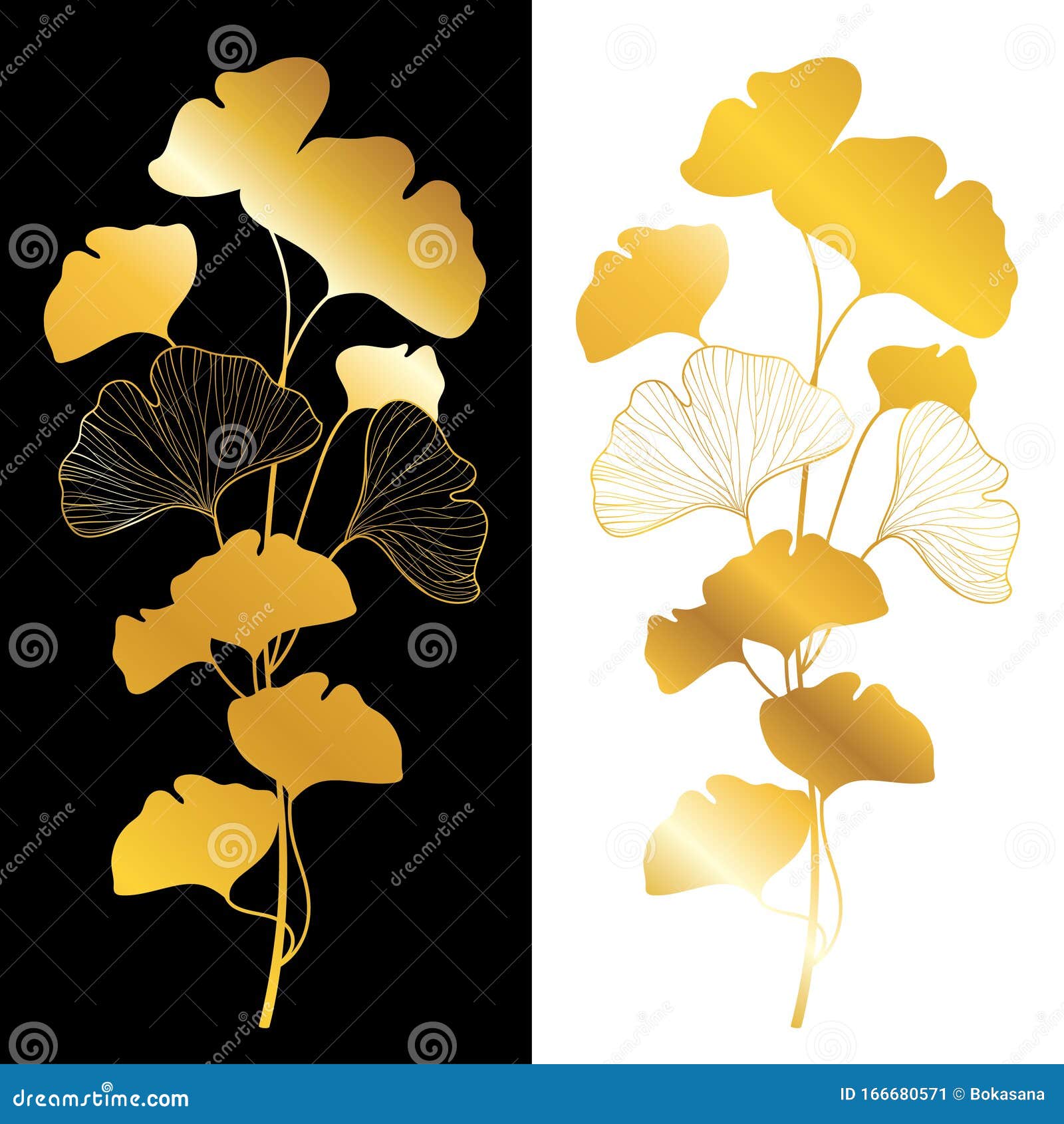 Vector Golden Branch Silhouette of Gingko or Ginkgo Biloba Tree. Bunch ...