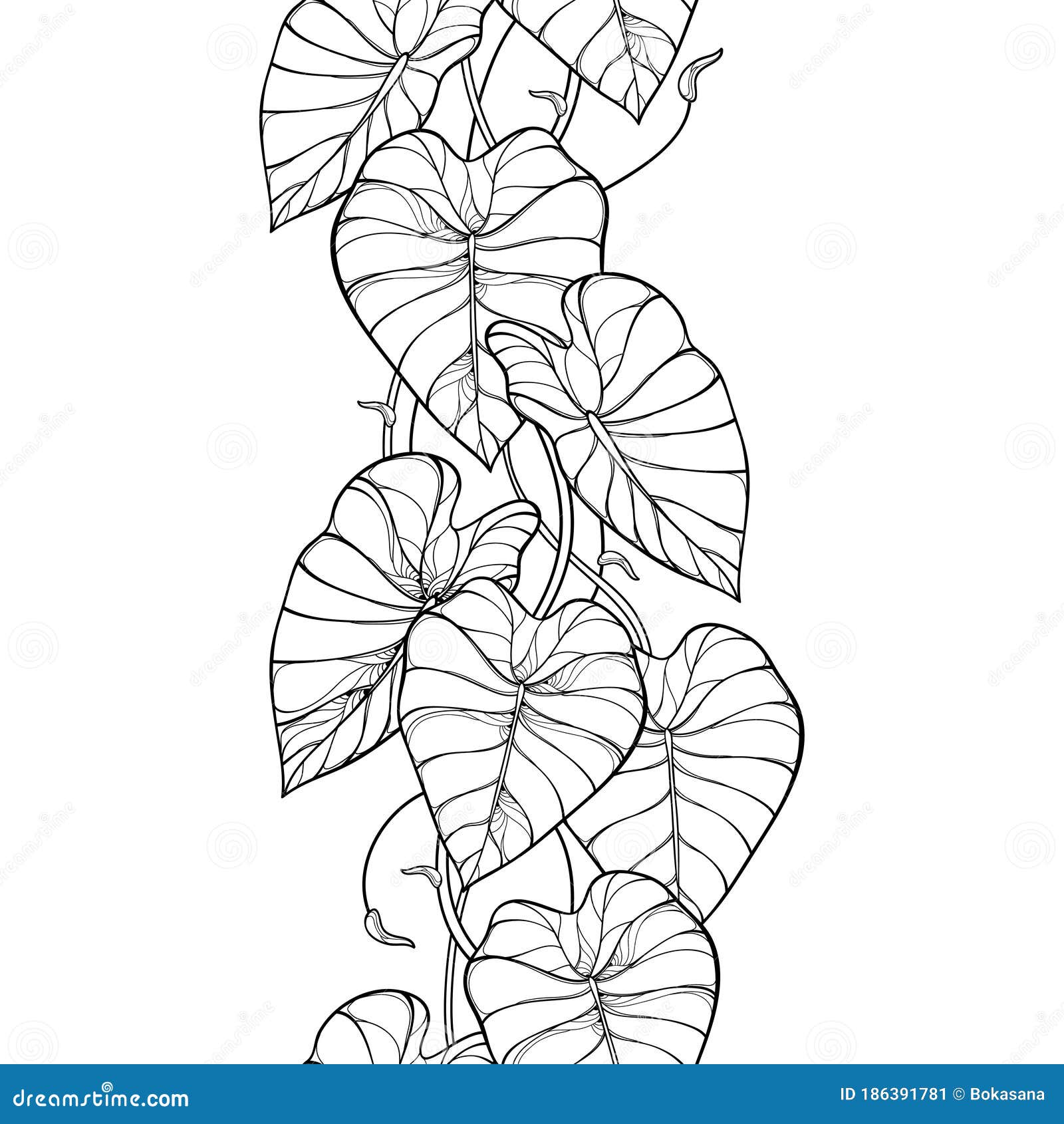 Taro Leaf, Root Illustration, Drawing, Engraving, Ink, Line Art, Vector ...