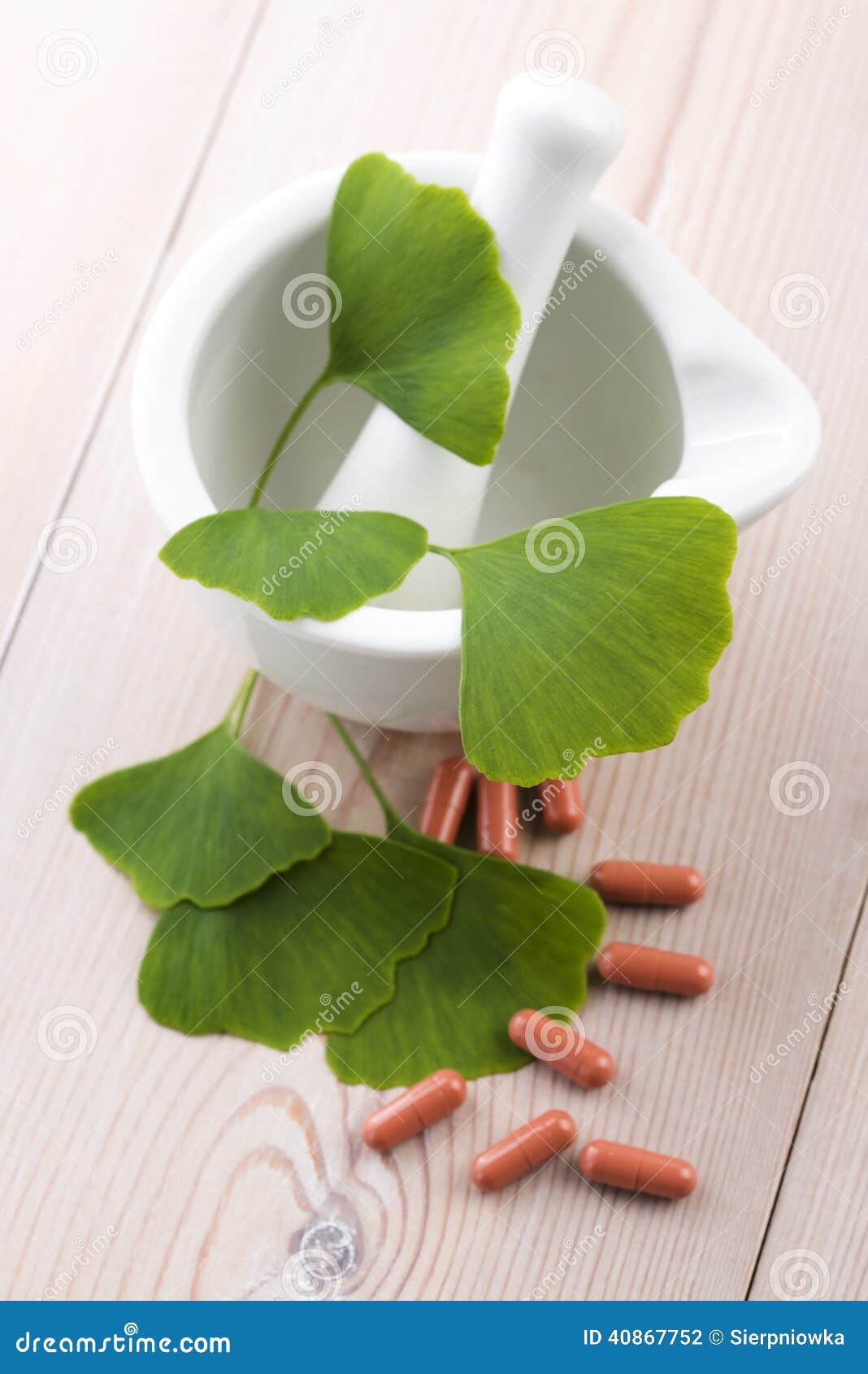 Ginkgo Biloba Leaves and Pills Stock Photo - Image of green, curative ...