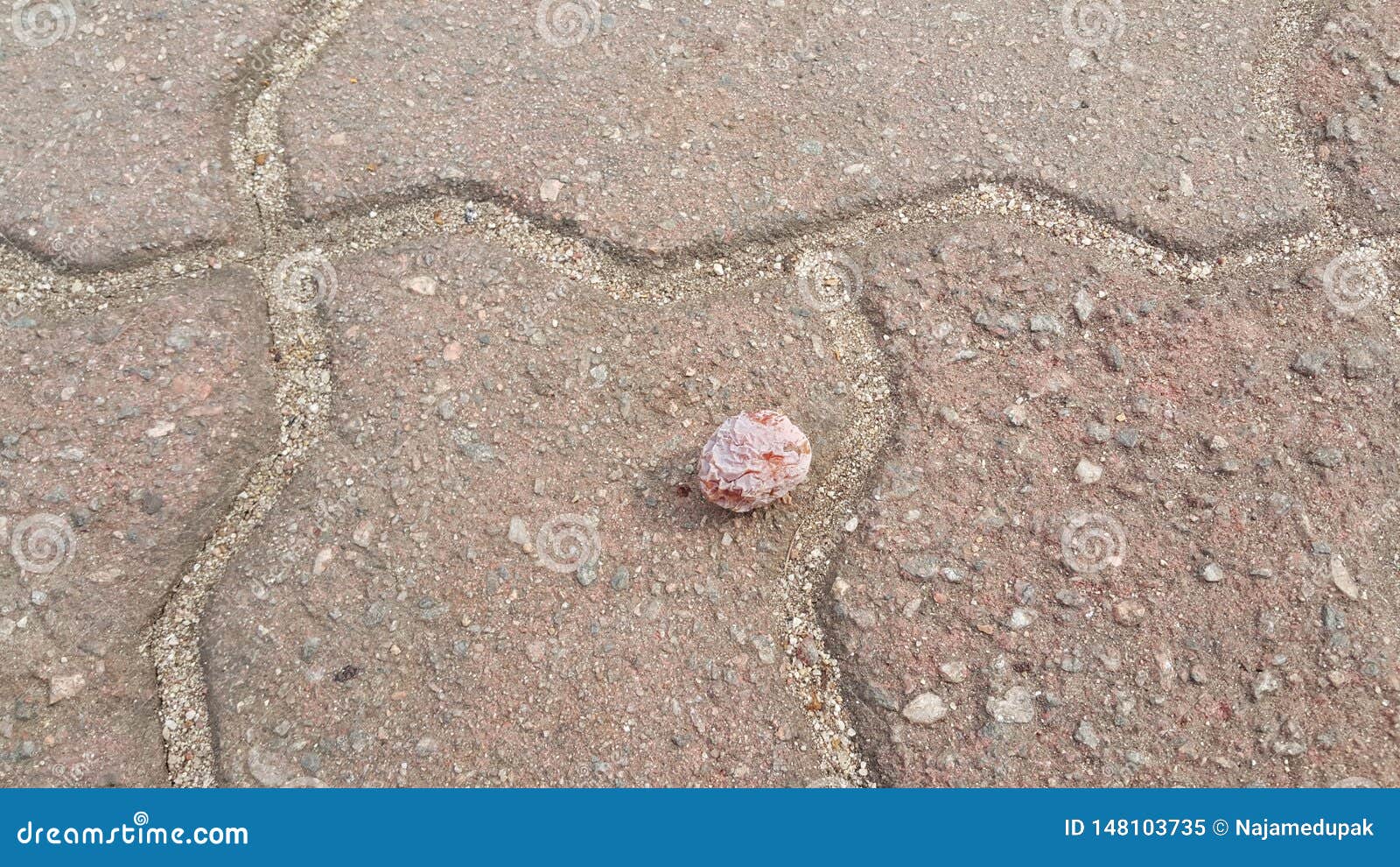 Ginkgo Biloba Nuts on Paved Red Brick Floor Stock Image - Image of ...