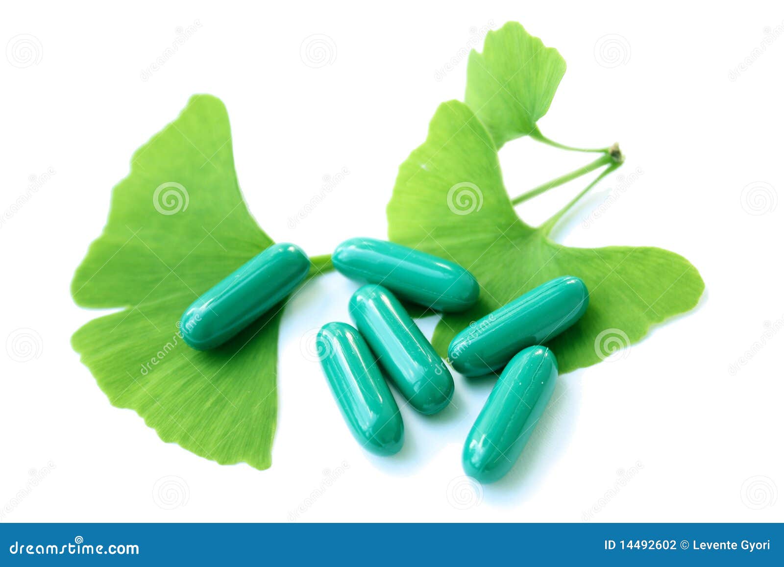 Ginkgo Biloba and pill stock photo. Image of green, herb - 14492602