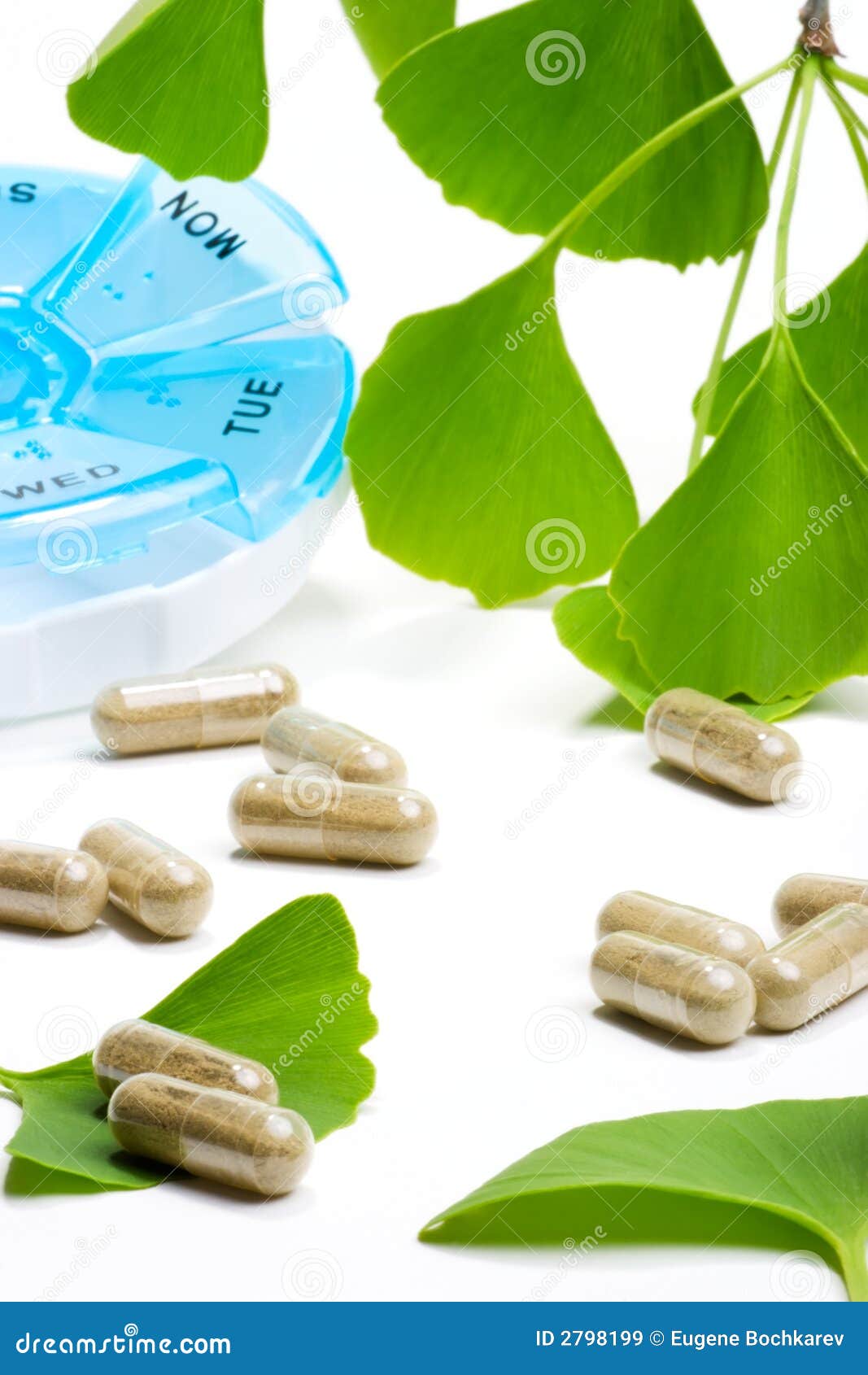 Ginkgo Biloba and Pills Planne Stock Image - Image of drugs, holding ...