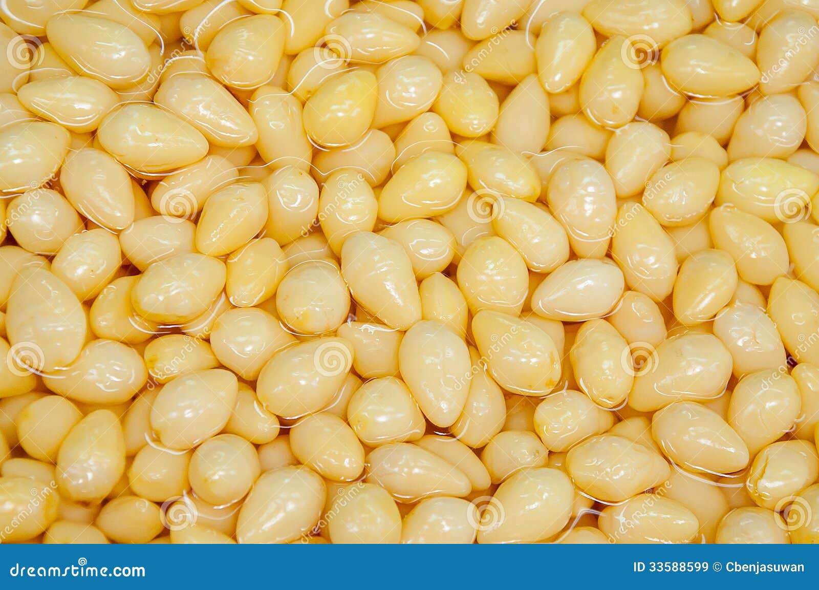 Ginkgo fruit stock image. Image of immune, ingredient - 33588599