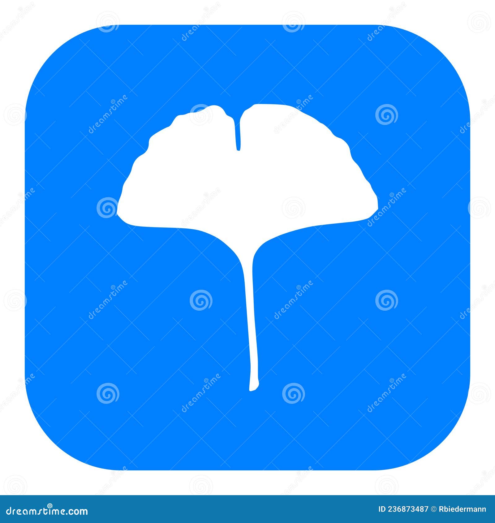 Ginkgo leaf and app icon stock vector. Illustration of season - 236873487