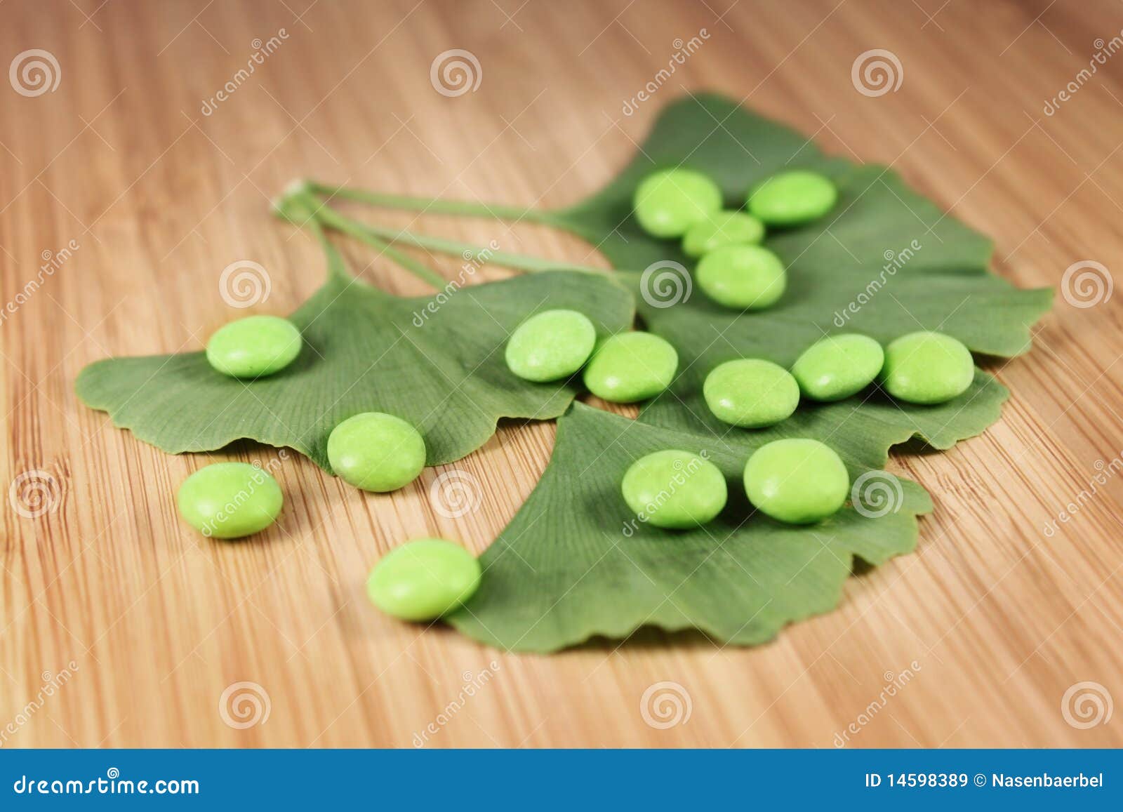 Ginkgo medicine stock image. Image of freshness, medicine - 14598389