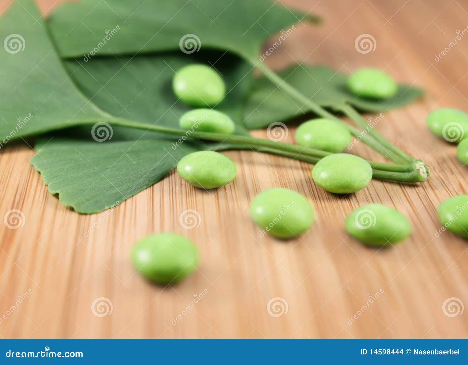 Ginkgo medicine stock photo. Image of leaf, wellbeing - 14598444