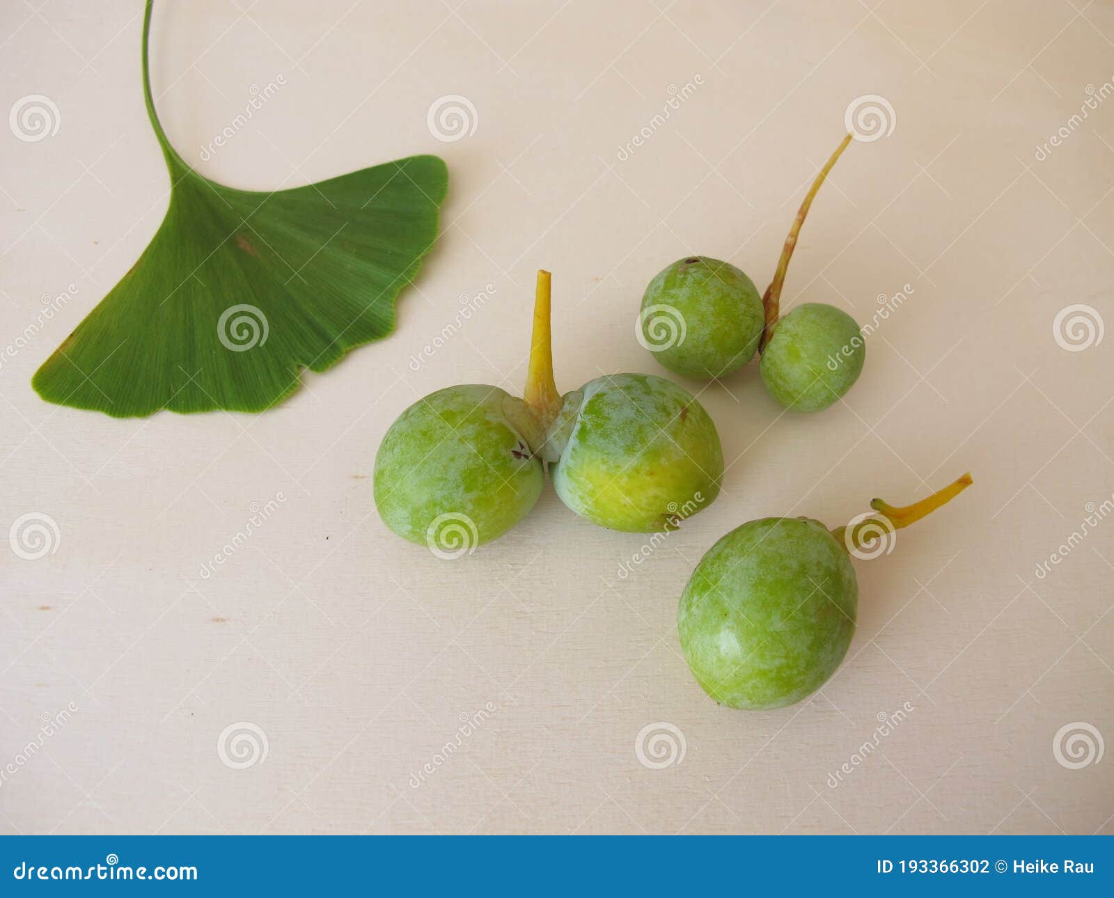 Seed And Shell Covers Of Sacha Inchi Peanut, Capsult Fruit Nut I Stock ...