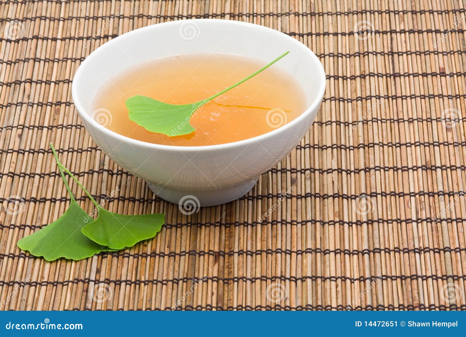 Ginkgo tea stock image. Image of homeopathy, ginkobiloba - 14472651