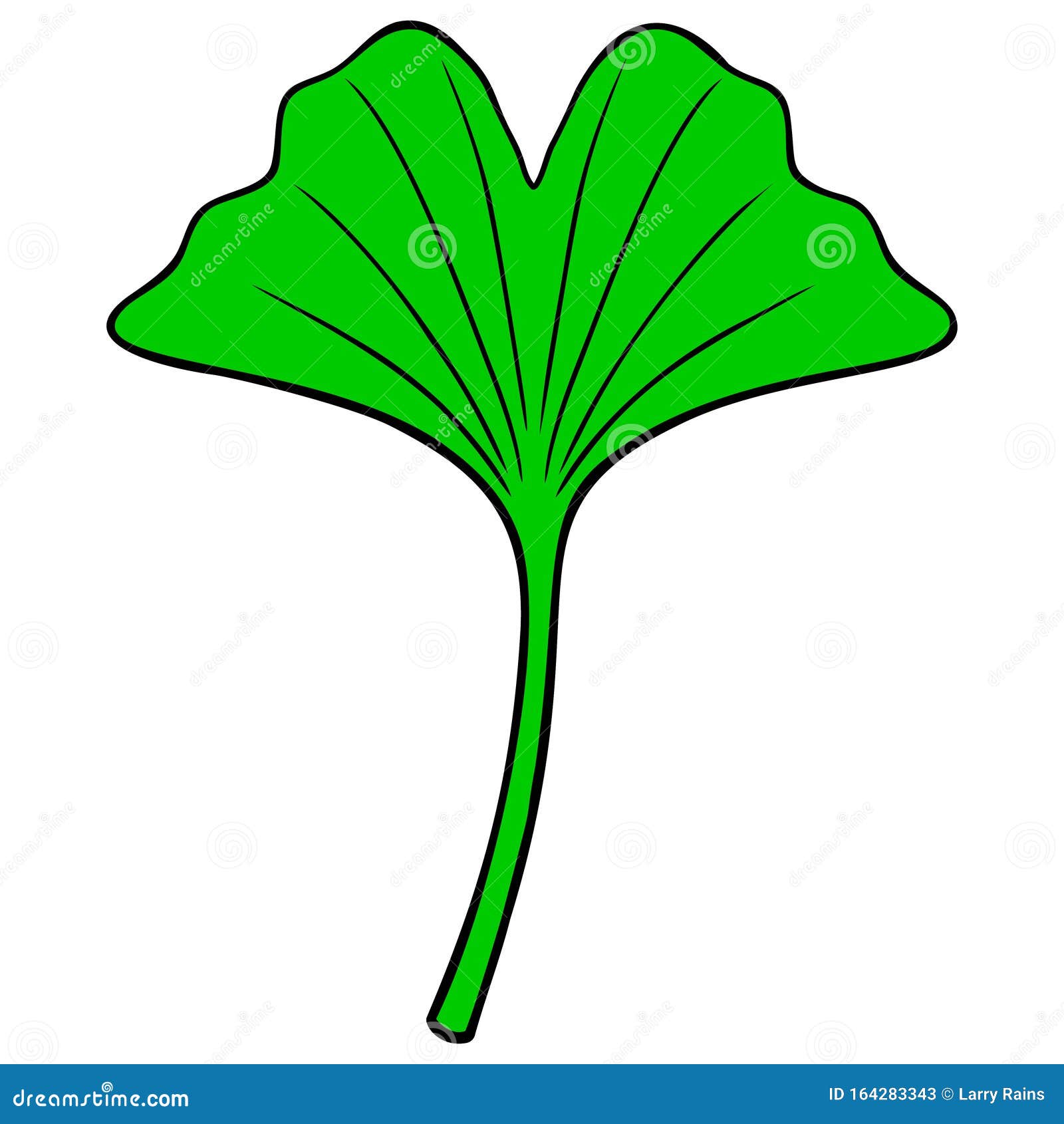 Ginkgo Tree Leaf stock vector. Illustration of plant - 164283343