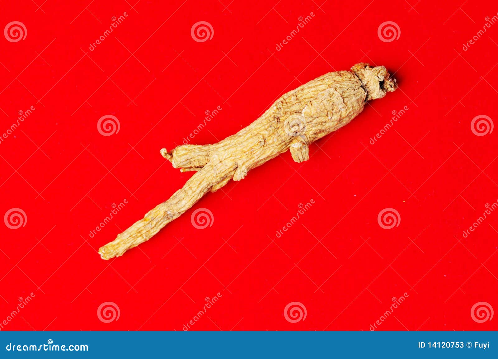 Ginseng stock image. Image of root, people, east, ingredient - 14120753