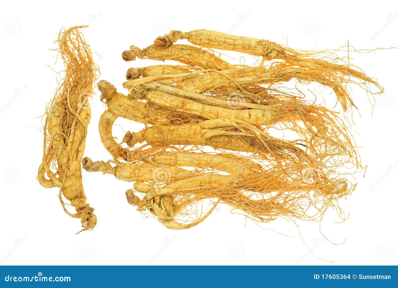 Ginseng stock photo. Image of nature, food, plant, underground - 17605364
