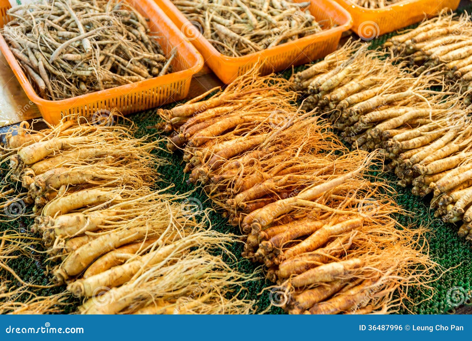 Ginseng stock photo. Image of crop, sell, ageing, botany - 36487996