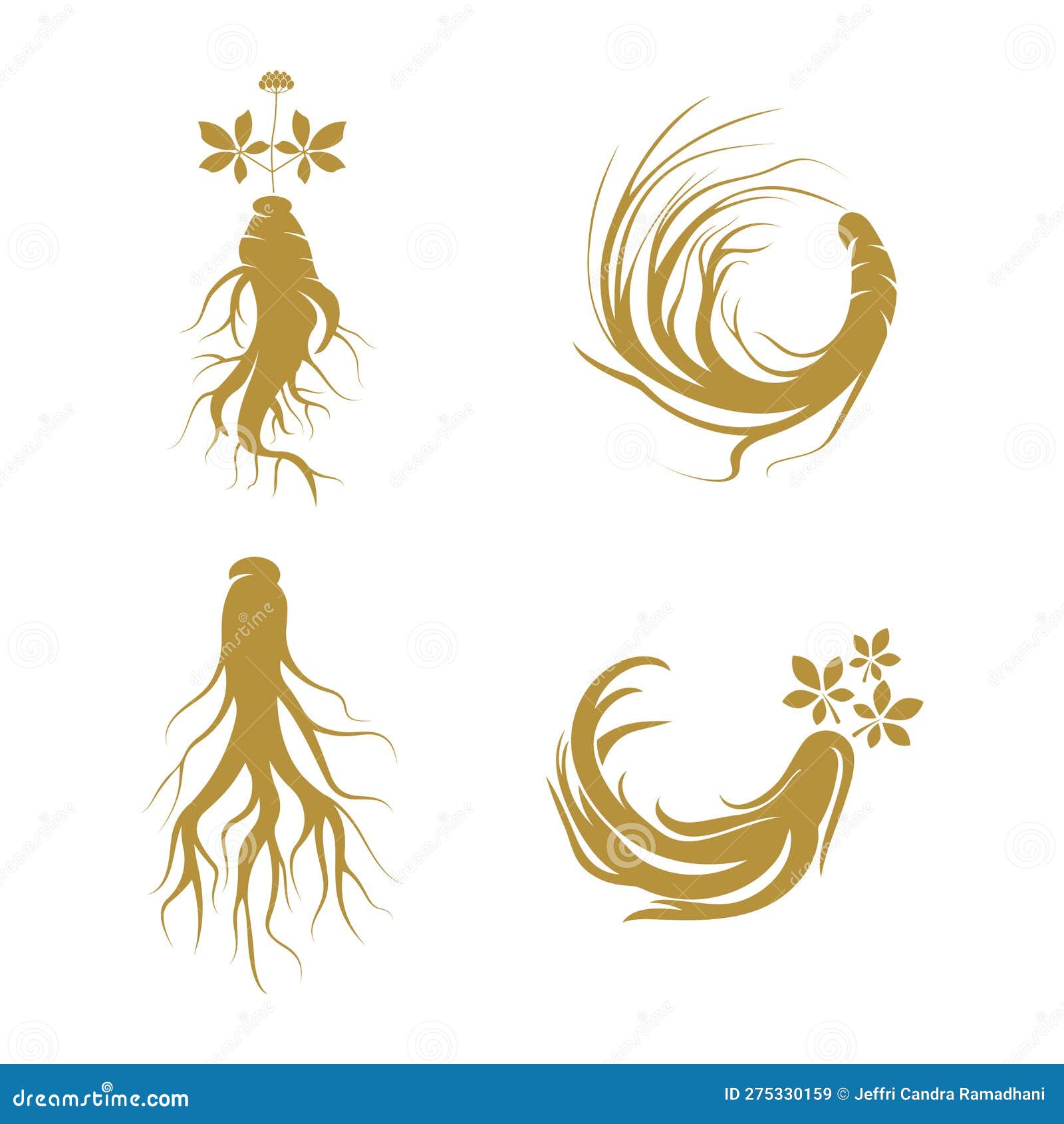 Ginseng Logo Design Template And Symbol Icon Cartoon Vector ...