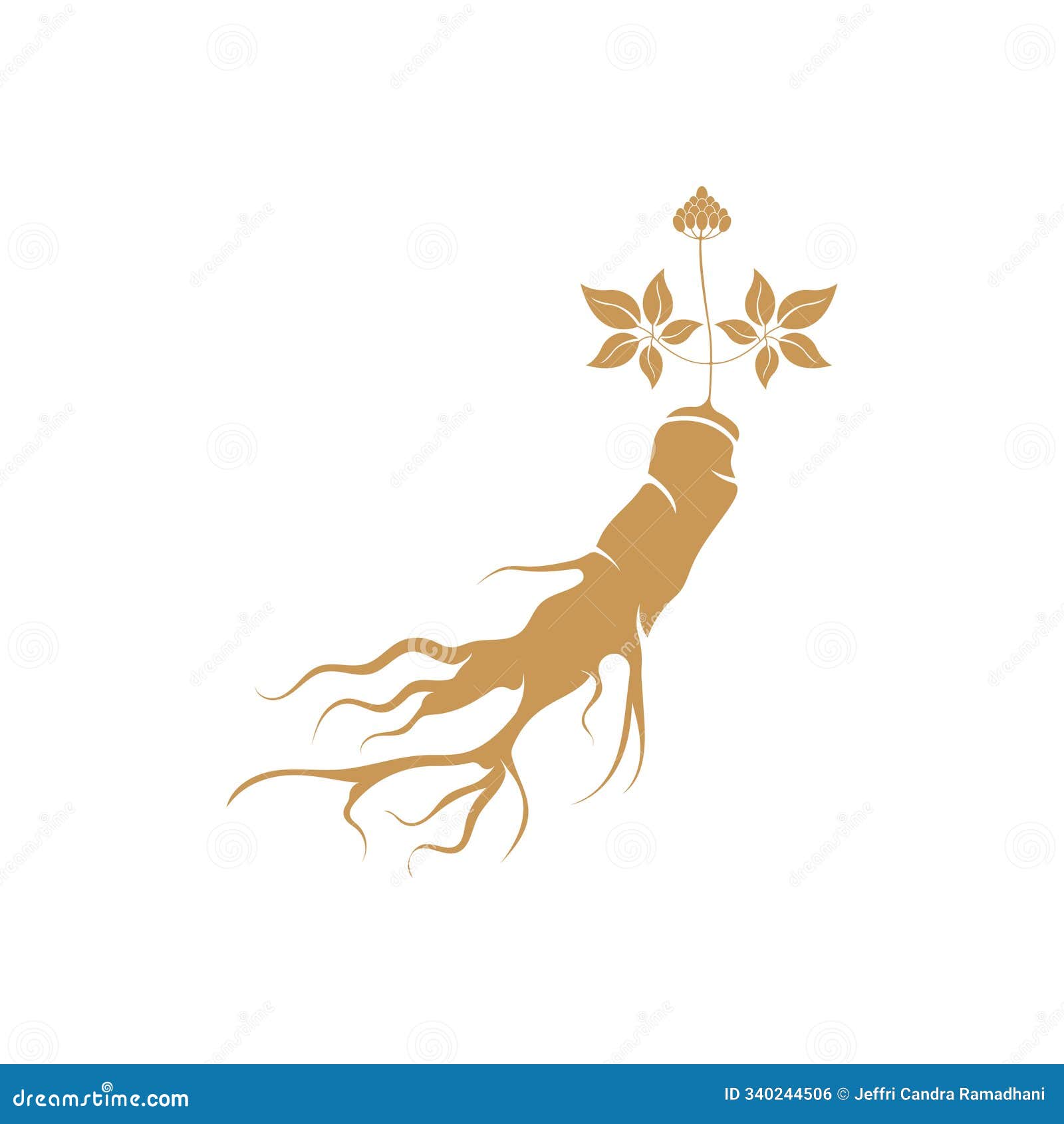 Ginseng Logo Design Template and Symbol Icon Stock Vector ...