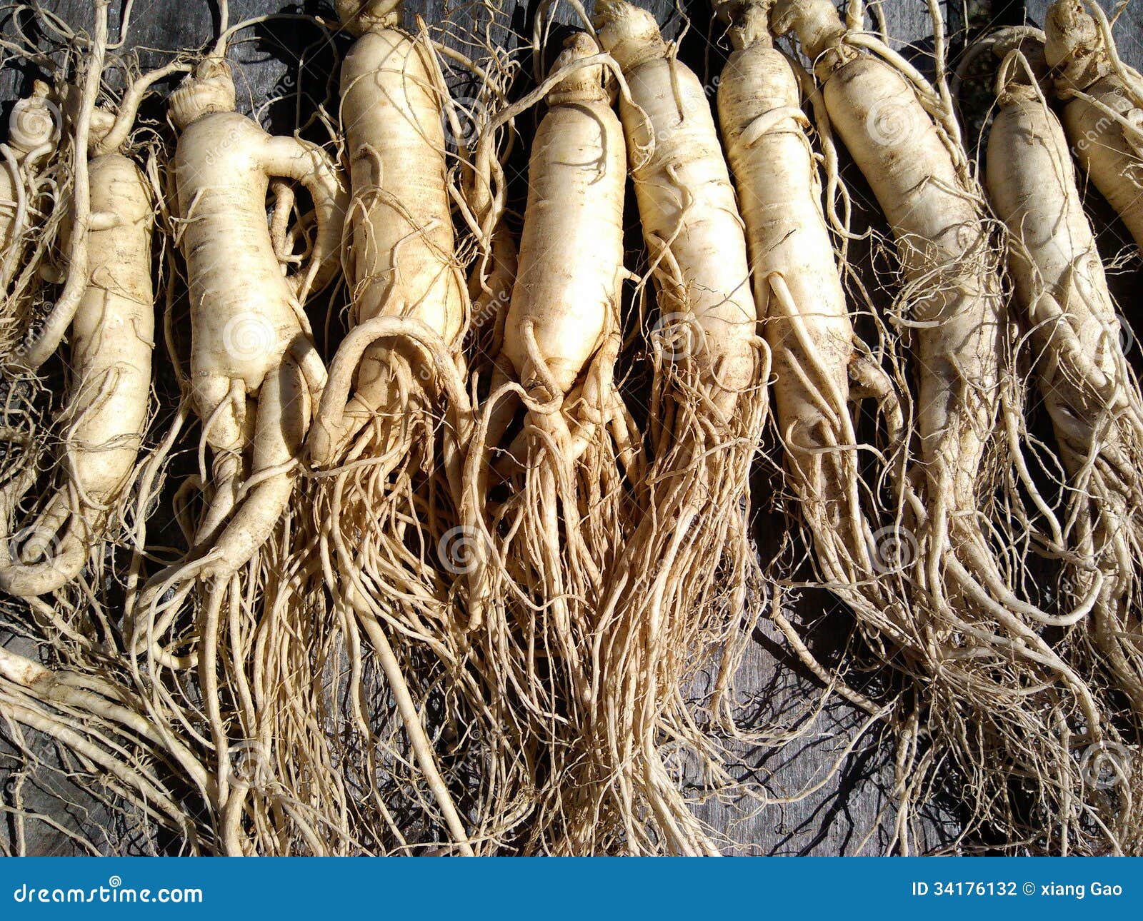 Ginseng stock photo. Image of tonic, remedy, natural - 34176132