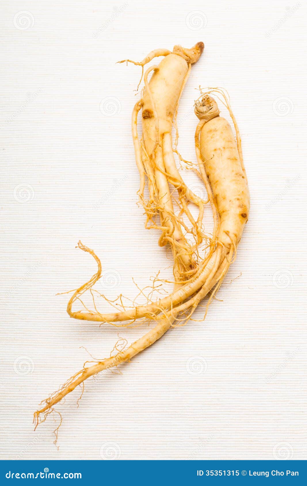Ginseng stock image. Image of healthy, medicine, root - 35351315