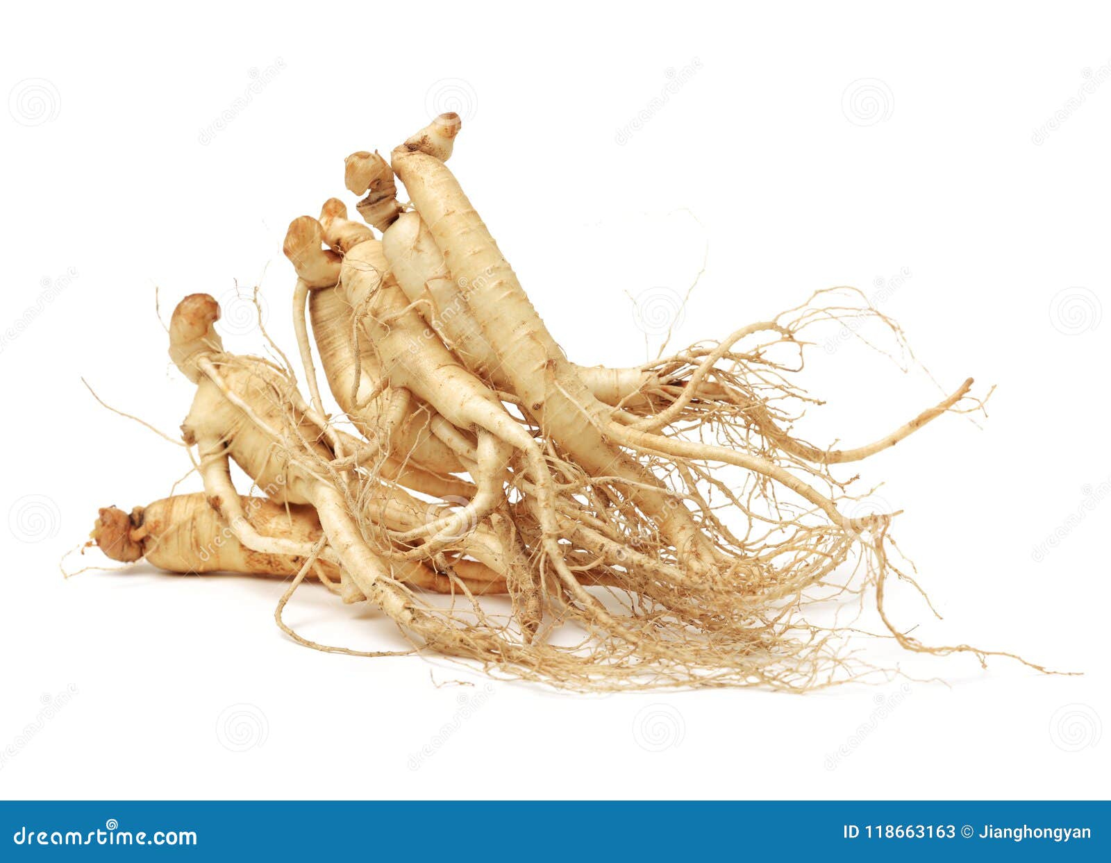Ginseng root stock image. Image of healthcare, object - 118663163